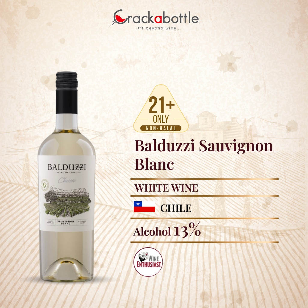 [Wine] BALDUZZI SAUVIGNON BLANC - White Wine Chile 白酒 | Shopee Malaysia