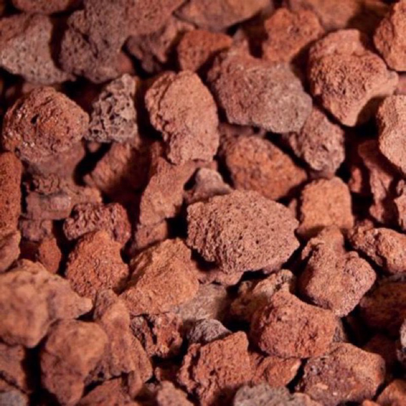 Red Lava Rock PASIR MALANG Volcanic Stone Bio Filter Media Succulent ...