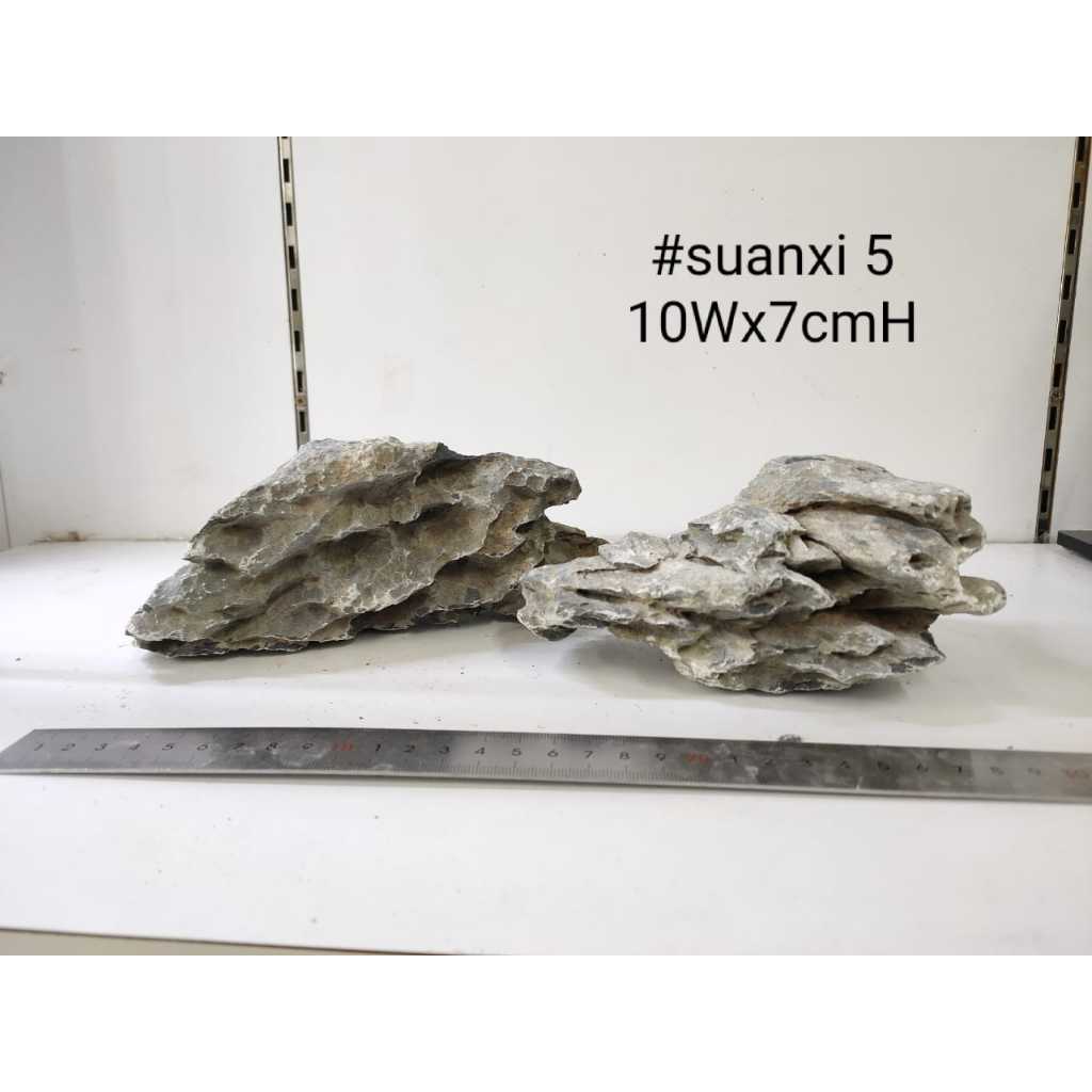 Aquascape Batu Aquarium Stone / Rock Alveolate , Dragon 鱼缸石头 [ 1kg ...