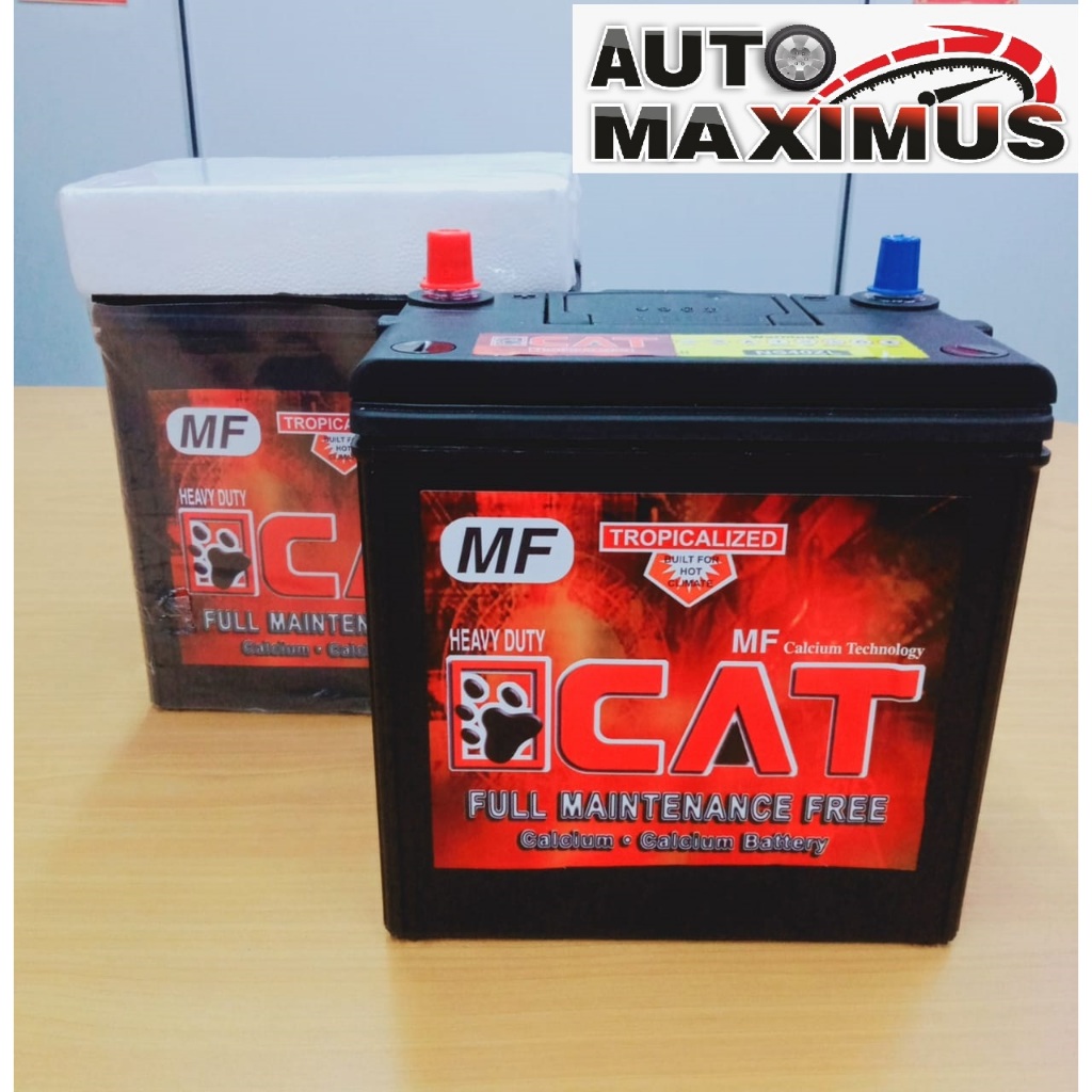 NS40ZL- CAT MAINTENANCE FREE CAR BATTERY | Shopee Malaysia
