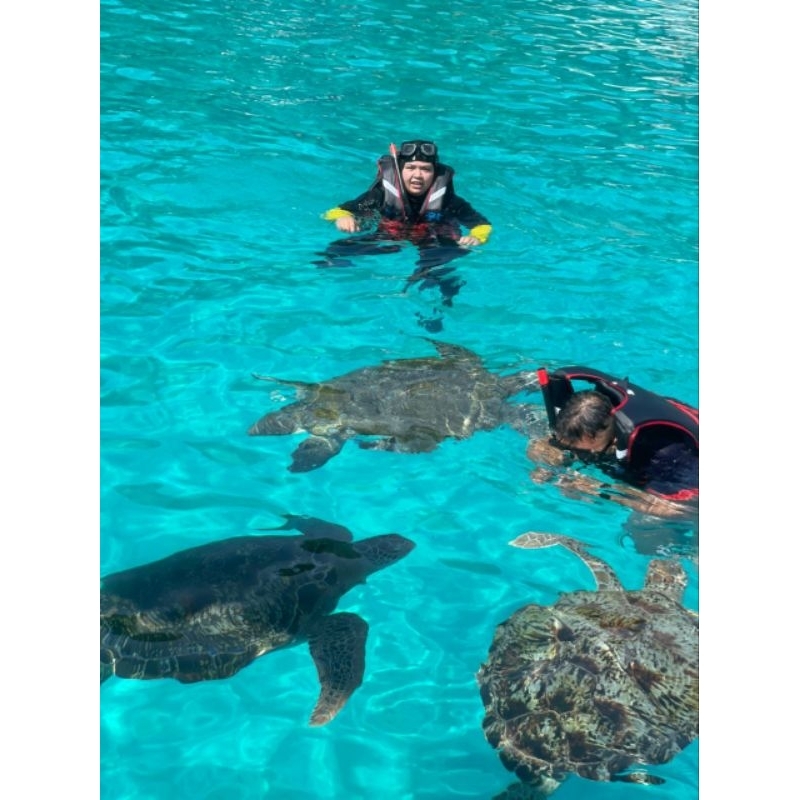 [EARLY BIRD PROMO] DAYTRIP PULAU REDANG, TERENGGANU 2024 TRIP MURAH ...