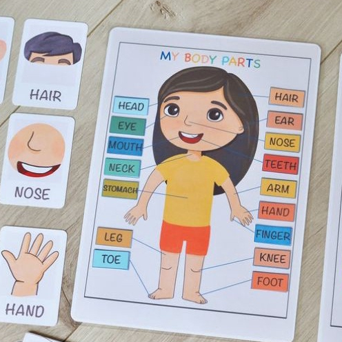 Busy book Body Parts Busy Bundle | Shopee Malaysia