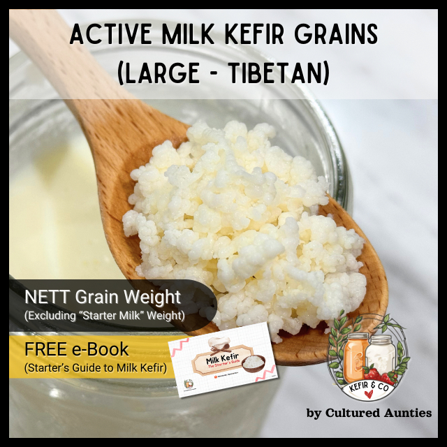 [KEFIRCO] Active Milk Kefir Grains (Large - Tibetan) | Shopee Malaysia
