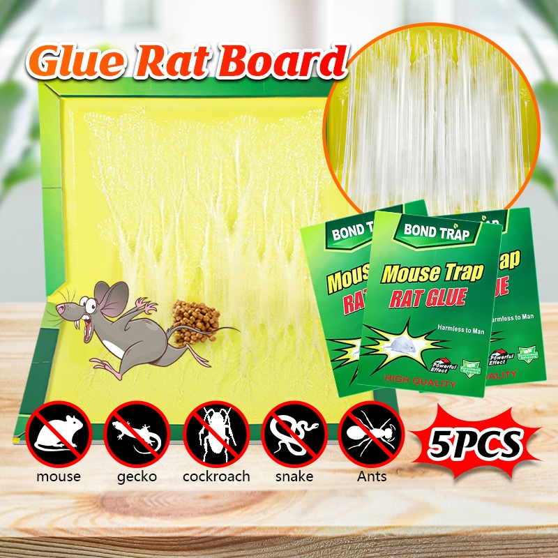 5PCs Perangkap Penangkap Tetikus Mouse Catcher Trap Rat Terminator Rat ...