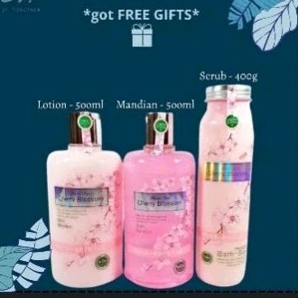 ready set mandian cherry blossom set 3in1 (shower gel +scrub badan ...
