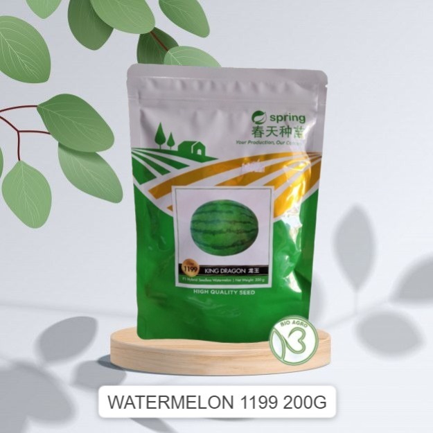 Watermelon 1199 200G /Tembikai Spring/Tembikai tanpa biji/Seedless ... Watermelon 1199 200G /Tembikai Spring/Tembikai tanpa biji/Seedless ...