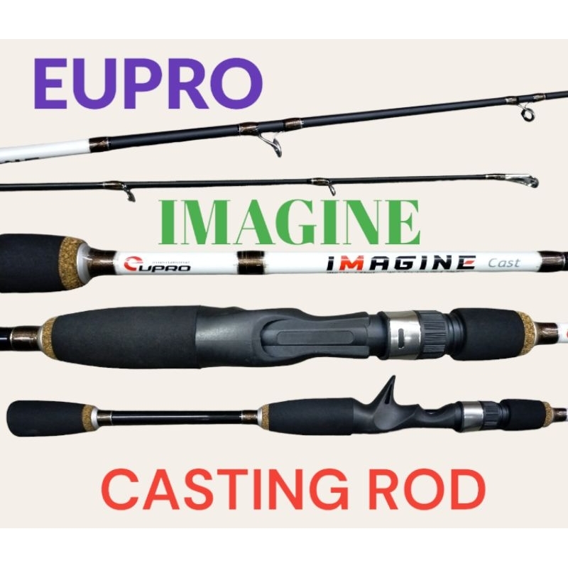 EUPRO IMAGINE SPINNING AND CASTING SINGLE HAND FISHING ROD ONE PIECE ...
