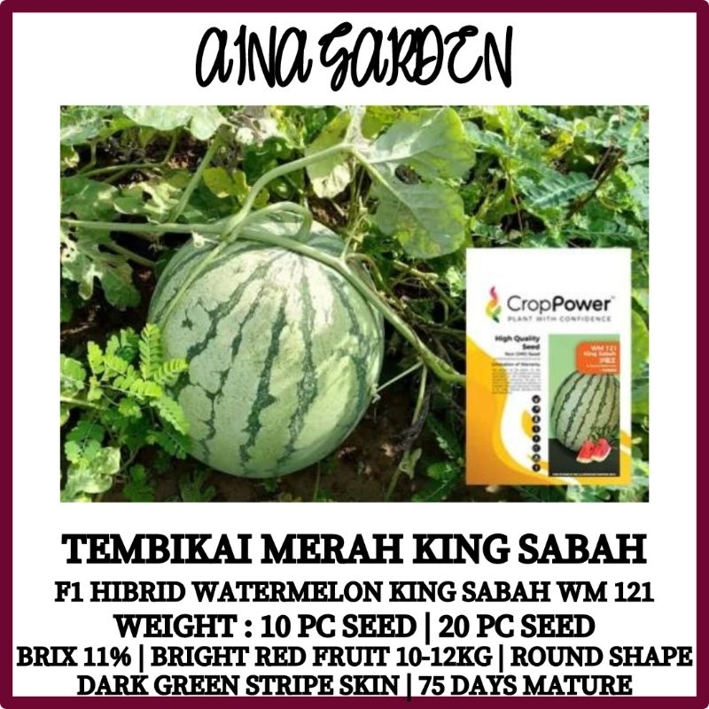 HSK [10pc/20pc] TEMBIKAI MERAH BIJI WATERMELON KING SABAH WM 121 SEED ...