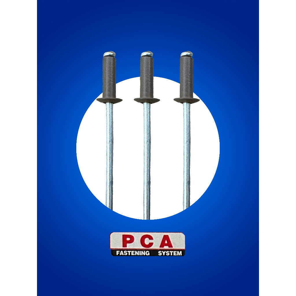 1/8", 5/32" , 3/16" Jaguar Blind Rivet / Rivet Nail | Shopee Malaysia