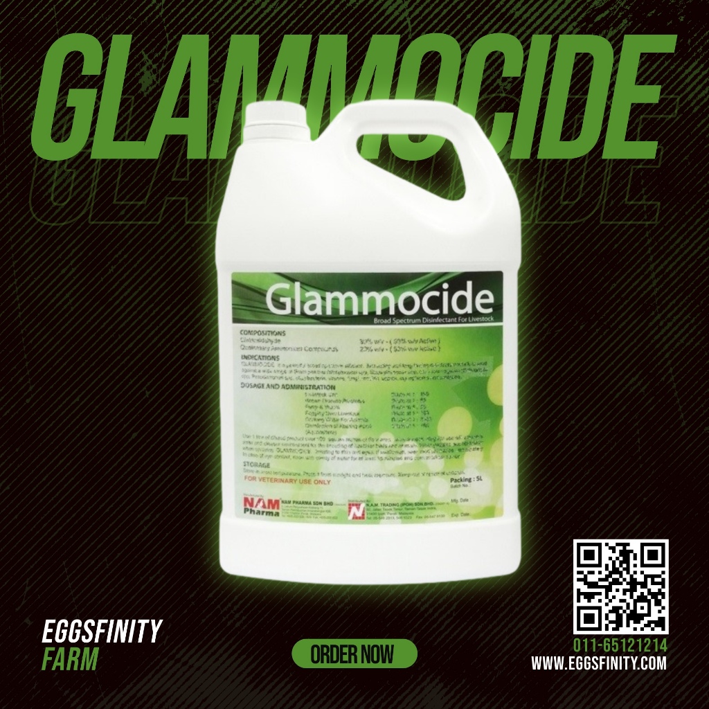 Glammocide Disinfectant / Pembasmi Kuman 5L | Shopee Malaysia