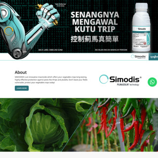 SYNGENTA Simodis® 500 ml Insecticide | Shopee Malaysia
