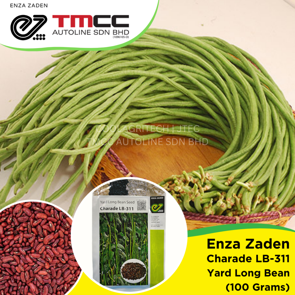 Enza Zaden - Yard Long Bean Seed - Charade LB-311 (100 Grams) | Shopee ...