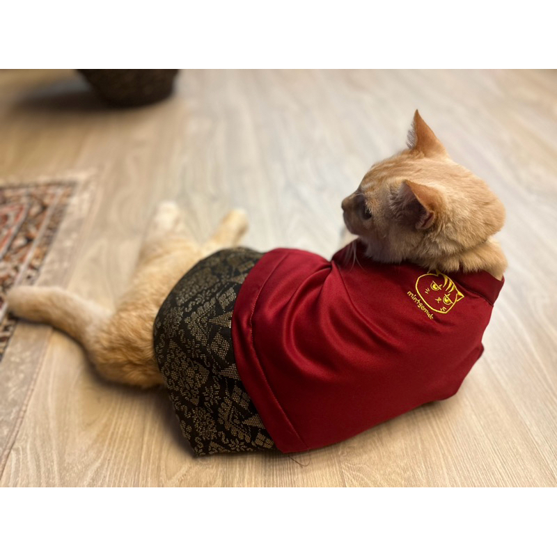 Baju Raya Kucing Premium MintGemuk Elegan | Shopee Malaysia