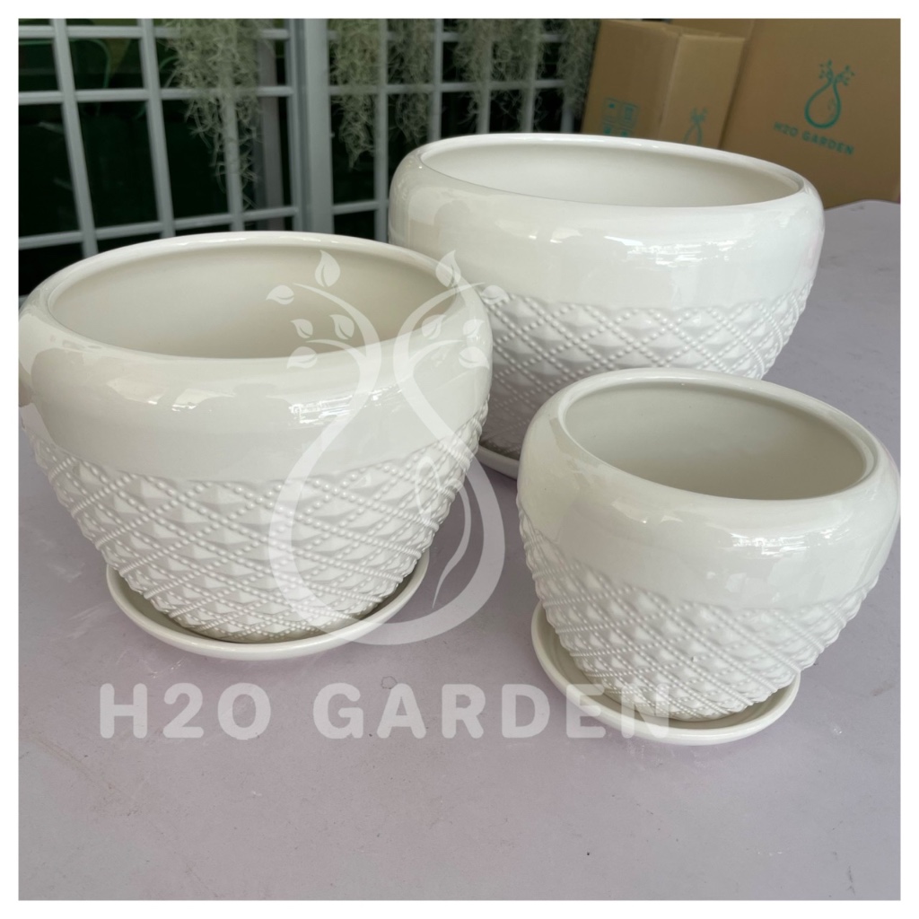 H2O - White Classic Ceramic Pot Series 白色陶瓷花盆 Pasu Seramik Putih ...
