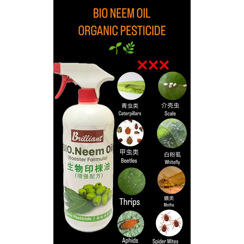 🐛🦋🐞 *BRILLIANT* BIO NEEM OIL (BOOSTER FORMULA) ORGANIC PESTICIDE. 有机杀虫剂 ...