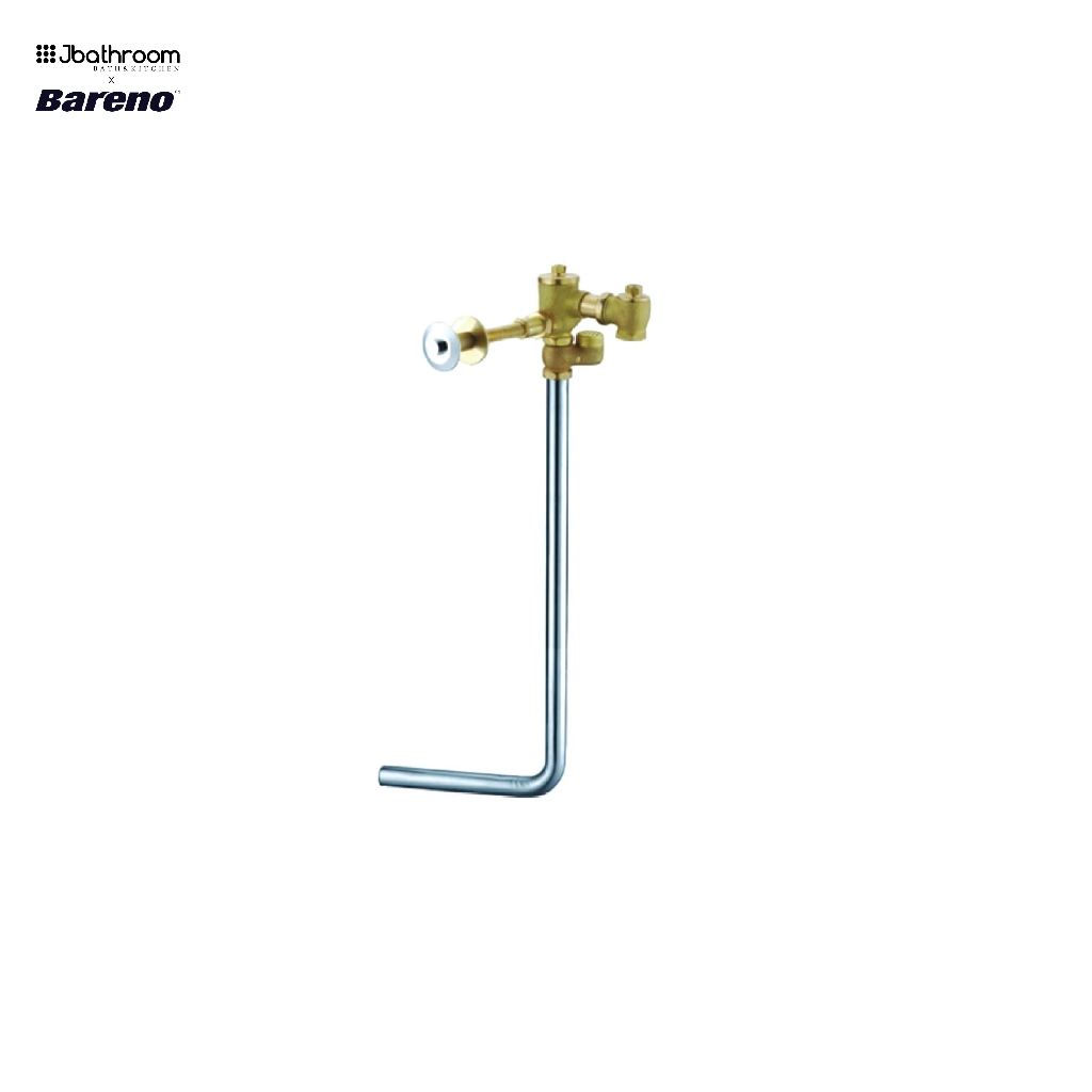 Bareno CWCFV-11/LP8030 concealed WC flush valve with stainless steel ...