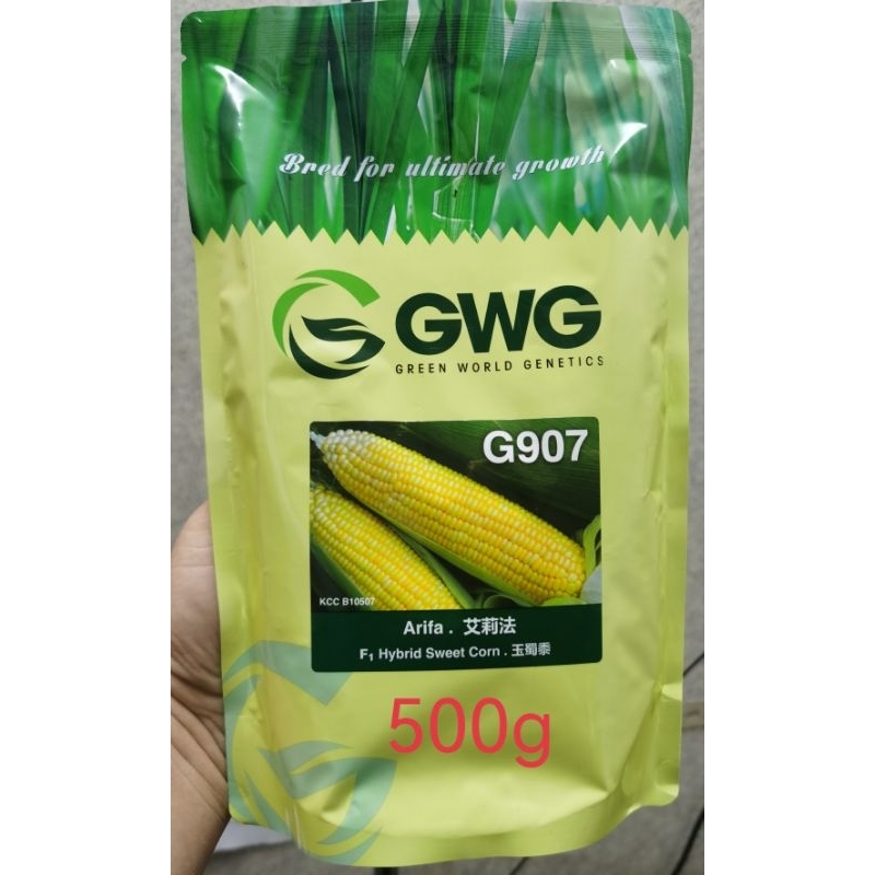Arifa G907 | GWG Benih Jagung | F1 Hybrid Sweet Corn | 500g. | Shopee Malaysia