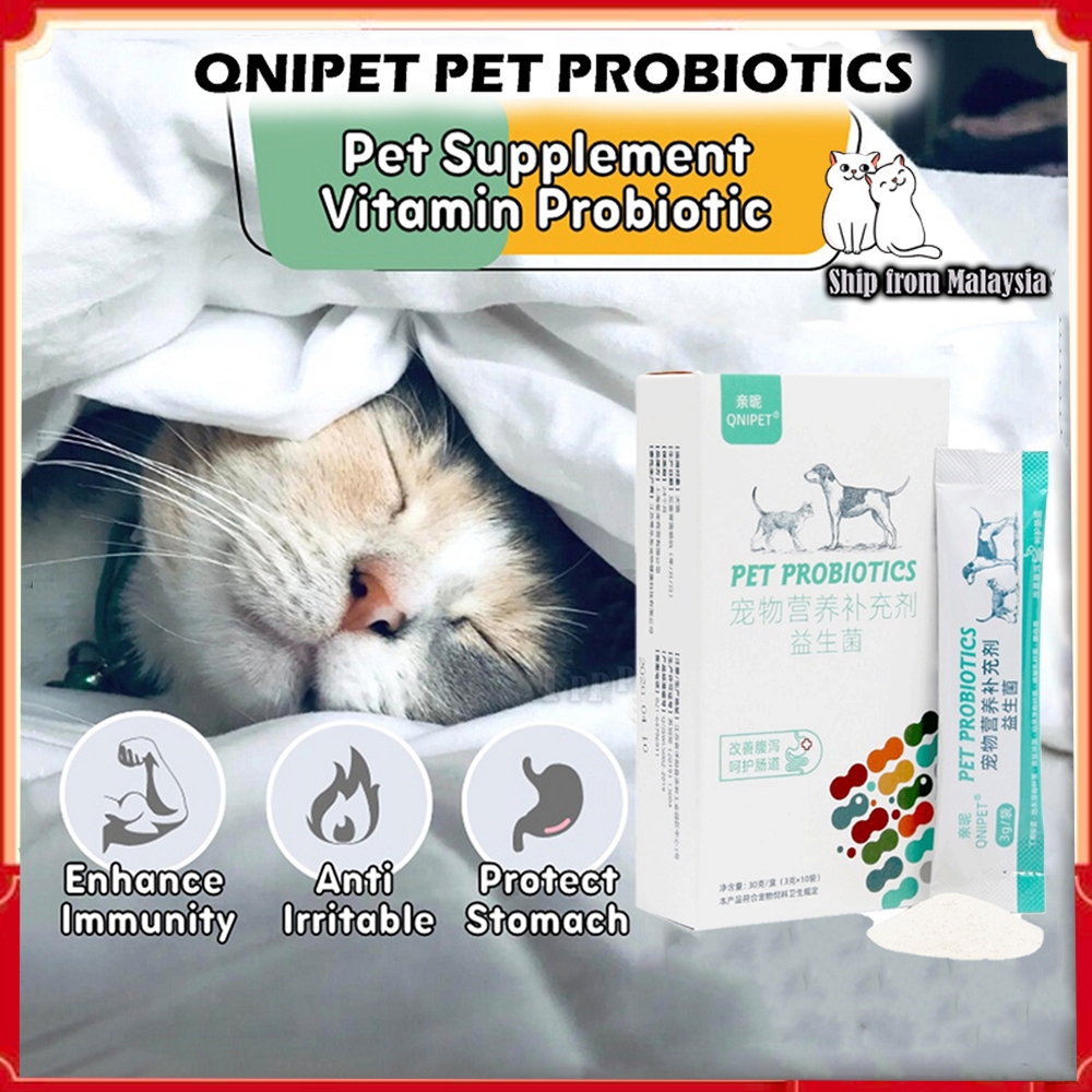 Pet Probiotics Cat Probiotic Dog Probiotic Pet Supplement Cat ...