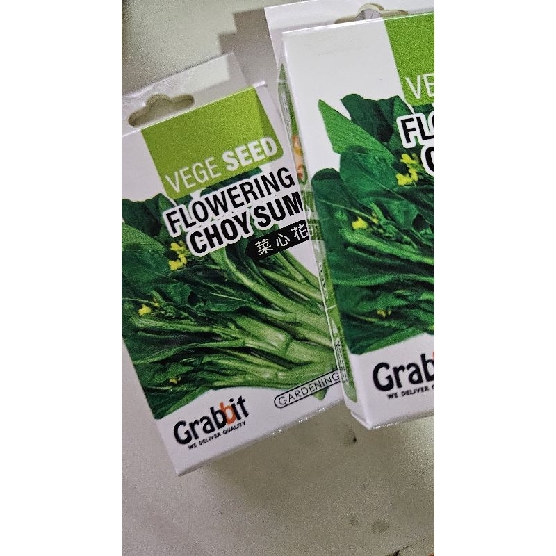 Benih tanaman sayuran Sawi / Green stem Choy Sum/ Flowering Choy Sum ...