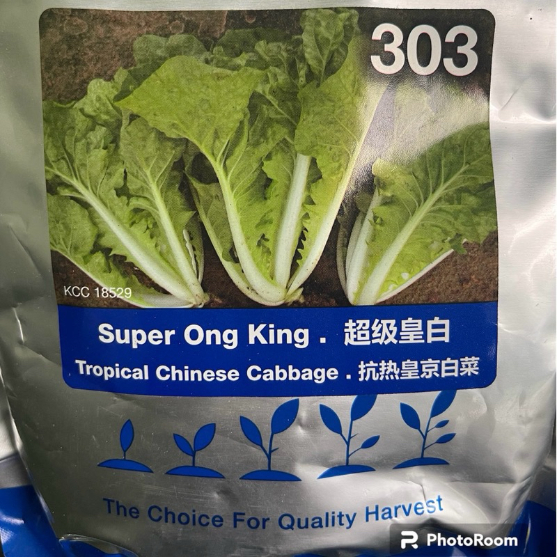 TROPICAL CHINESE CABBAGE (REPACK) | VAGETABLE SEEDS | Shopee Malaysia