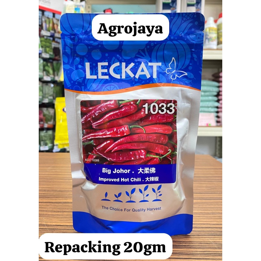 LECKAT 1033 CILI BESAR / BIG JOHOR LECKAT PREMIUM F1 HYBRID SEED GWG ...
