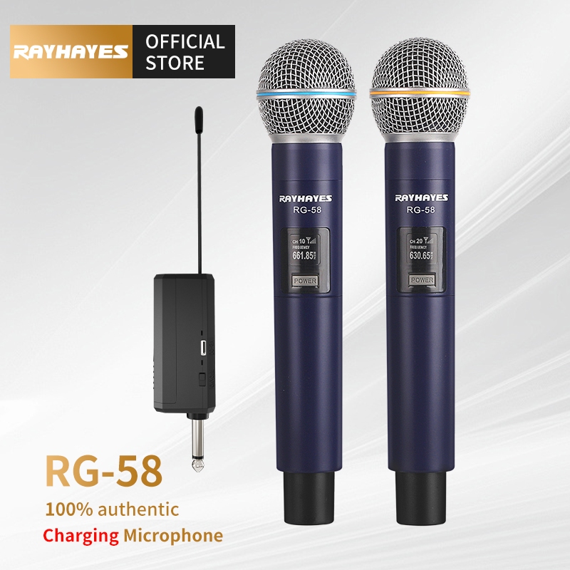 RAYHAYES Professional Microphone Wireless UHF Handheld rechargeable Mic ...