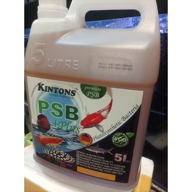 💥Ready Stock💥Kintons (Mavrakis) PSB Plus 5litre | Shopee Malaysia