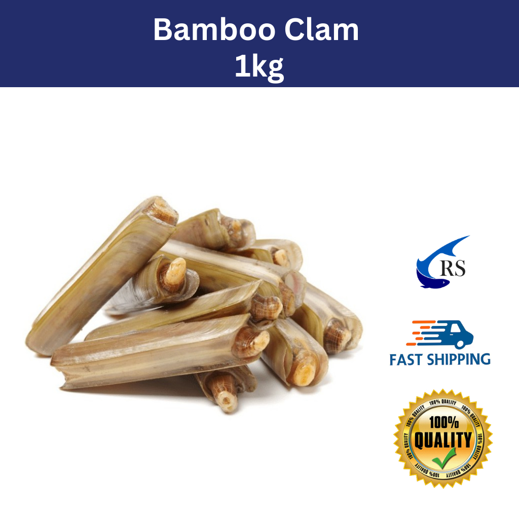 Premium Quality Bamboo Clam (1kg) Pepahat Kerang 竹蛏 竹滩 竹蛤 | Shopee Malaysia
