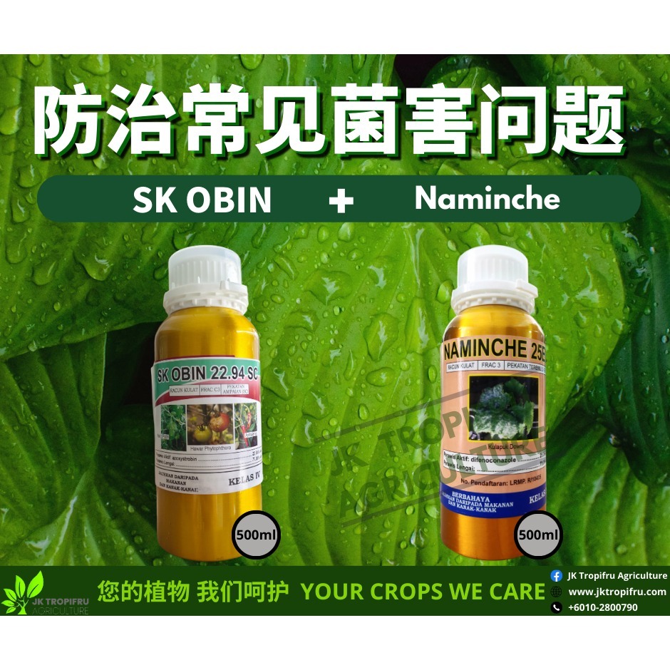 【Antraknos/Bintik Daun/Reput Daun 】Package - SK Obin Naminche ...