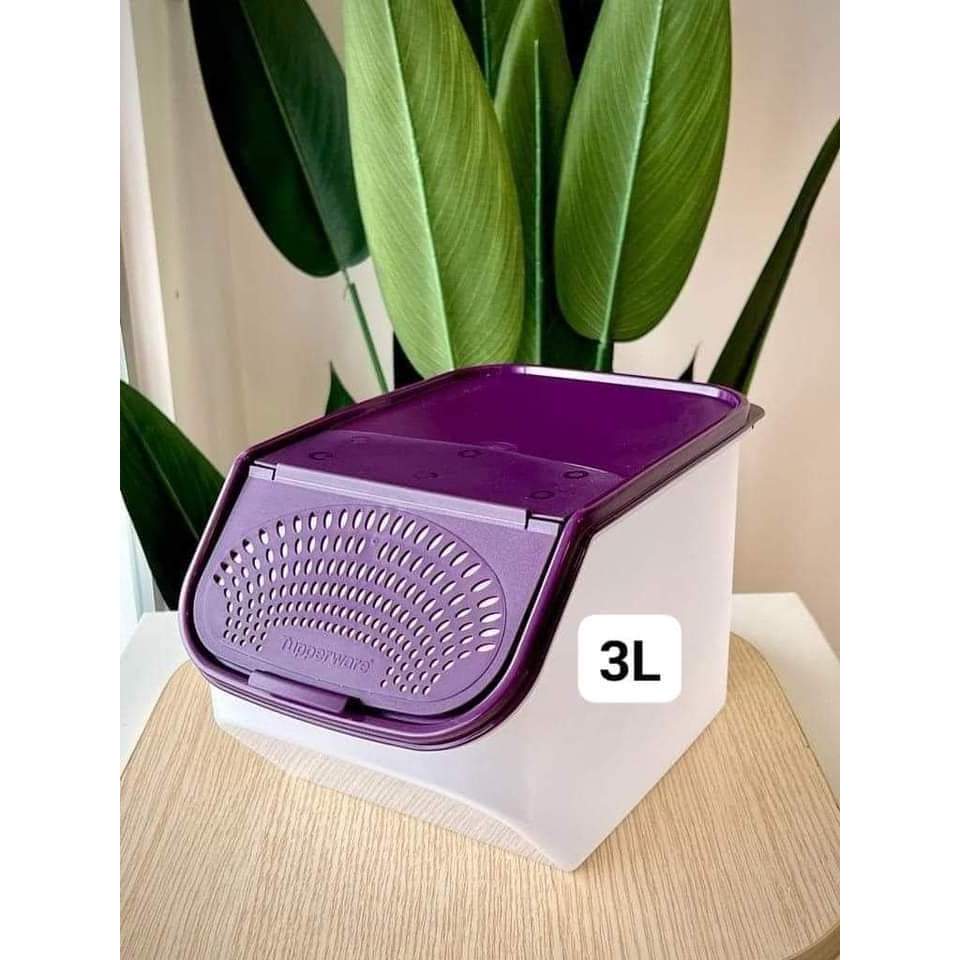 Tupperware Garlic N All Keeper 3L (1pc) | Shopee Malaysia