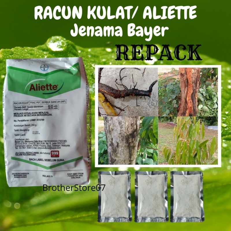 Aliette - Masalah kanker/ Reput batang pada pokok durian dan lain-lain ...