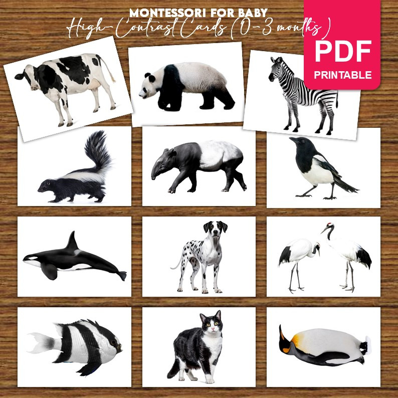 PDF Printable* Montessori Baby Flash Card | Baby Sensory Cards | High ...