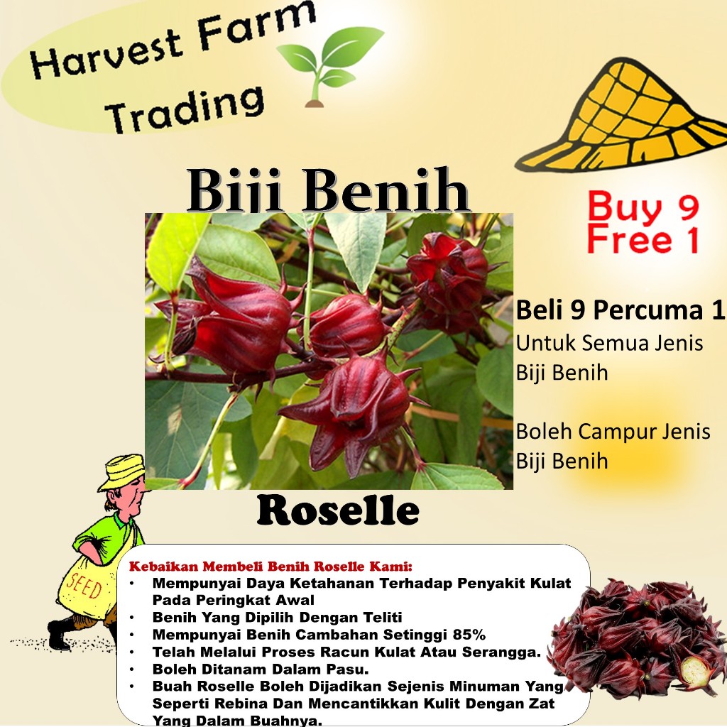 biji benih sayur sayuran pelbagai bunga vegetable seed bibit anak pokok ...
