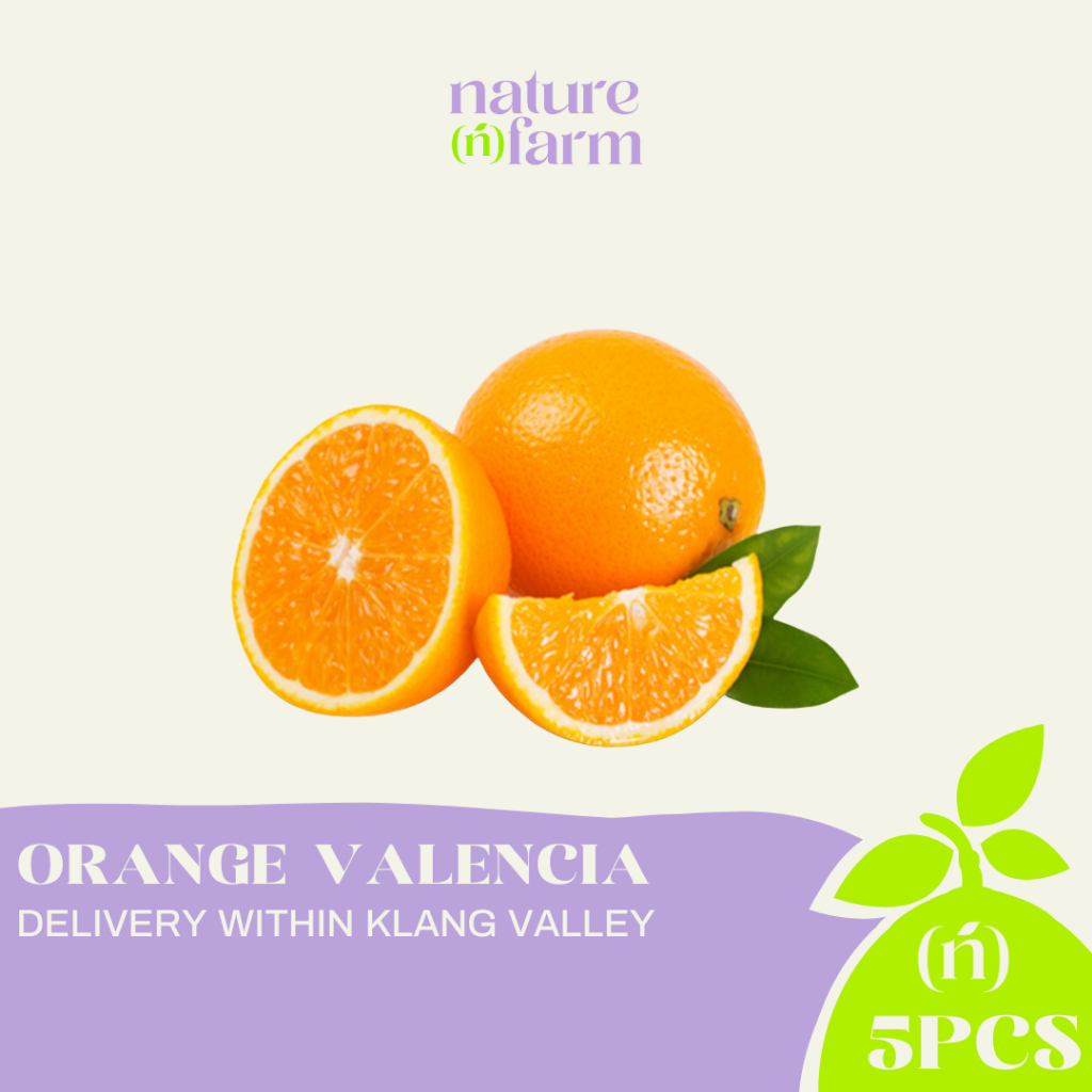 Nature Farm Orange Valencia/ Oren (5PCS/PKT) | Shopee Malaysia