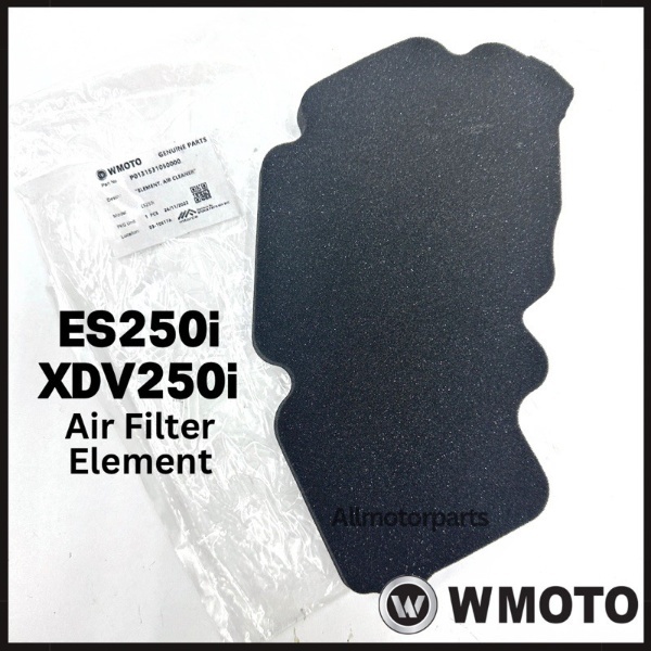 100% ORIGINAL WMOTO ES250 ES250I ELEMENT AIR CLEANER P0131531050000 ...