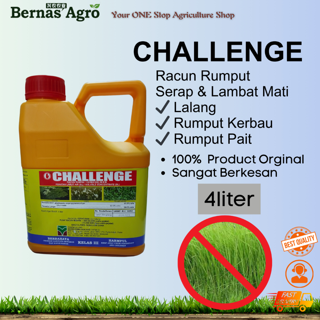 Challenge Racun Rumput Rumpai dan Lalang Serap Lambat Mati Sampai akar ...