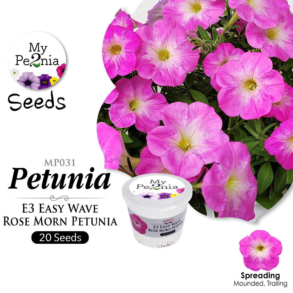 MyPe2nia [Petunia Seeds] E3 Easy Wave Rose Morn Petunia (20 Seeds ...