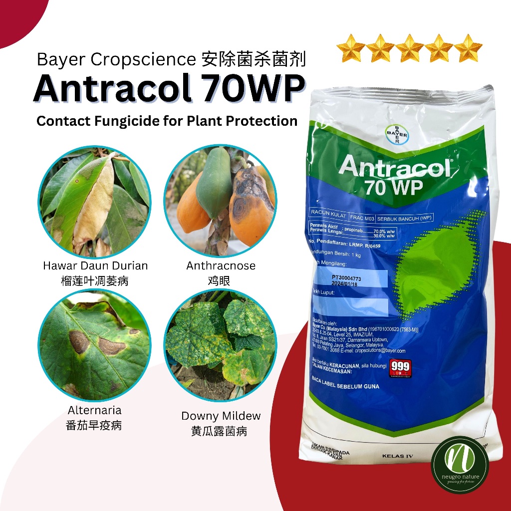 Bayer Antracol 70WP (1KG) Propineb 70% Fungicide Racun Kulat Hawar Daun ...