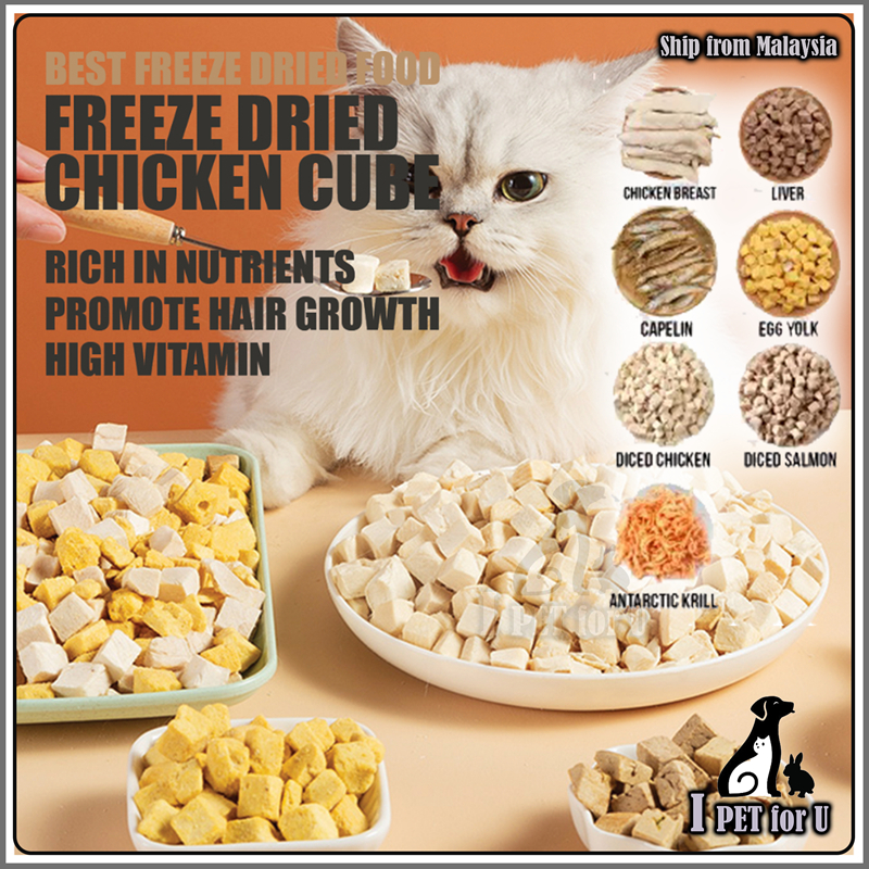 Pet Food Freeze-dried Chicken / Yolks Cube Minced 100 Grams for Cats ...