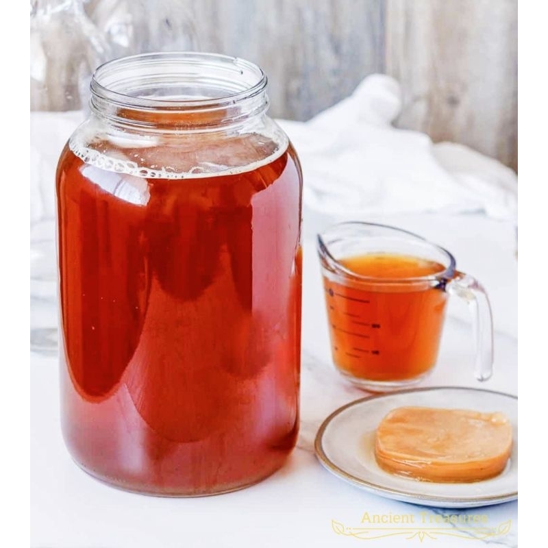 400ml-1000ml-Organic Mature Kombucha starter tea(no-scoby)probiotic ...