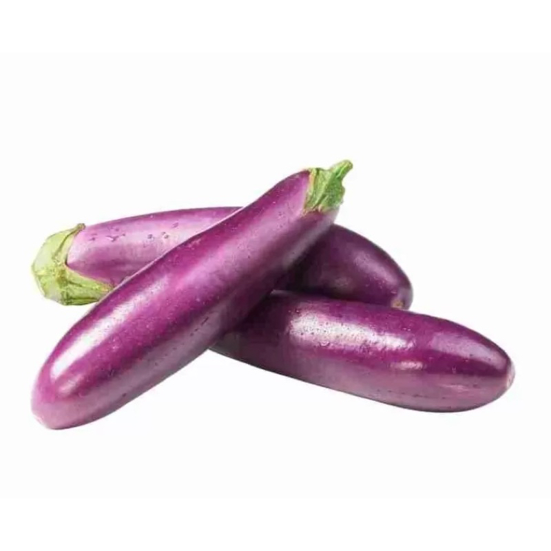 Terung Ungu Panjang : Long EggPlant 🍆 : Brinjal | Shopee Malaysia