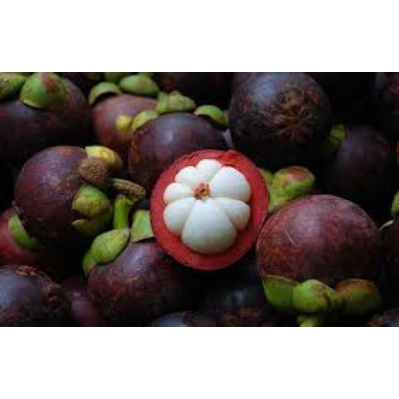 1kg Buah Manggis / 1kg Mangosteen / 1kg Buah Setor | Shopee Malaysia