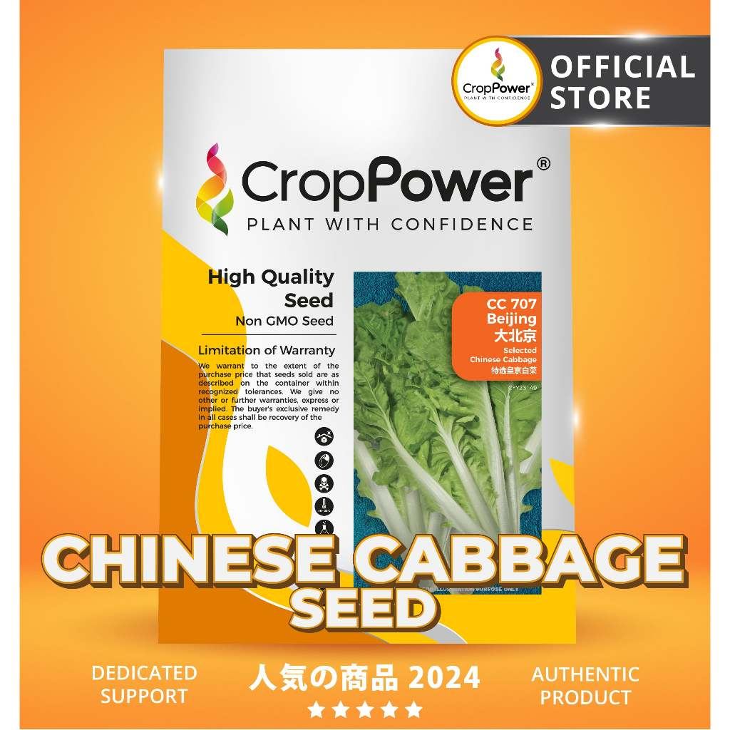 (50 GRAM) Biji Benih Kubis Cina Beijing 大北京 CC707 CROP POWER Chinese ...