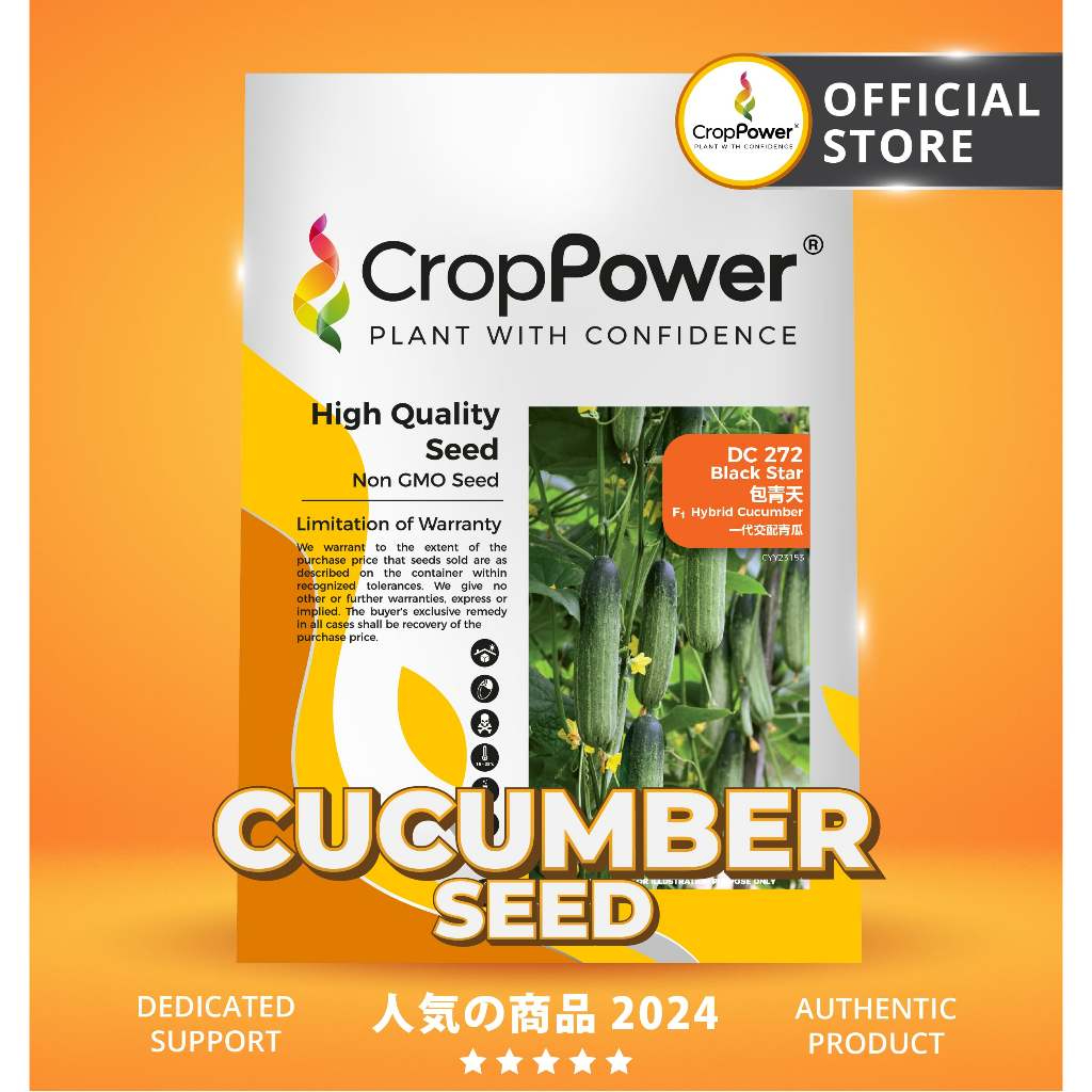 (10 GRAM) Biji Benih Timun Black Star 包青天 DC272 CROP POWER F1 HYBRID ...
