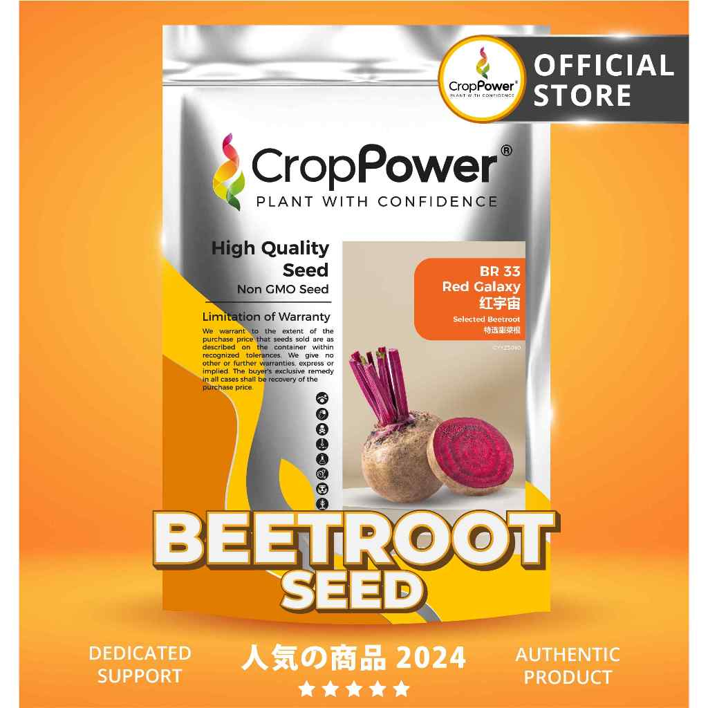 (1,000 SEEDS) Biji Benih Ubi Bit Merah Red Galaxy 红宇宙 BR33 CROP POWER ...