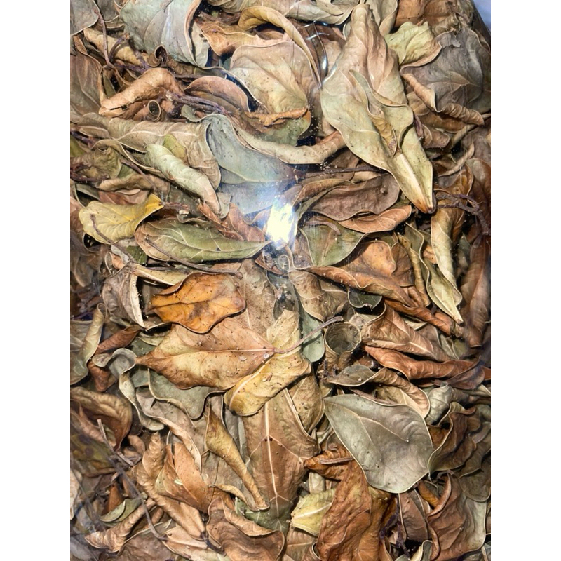 Daun Mas Cotek 100% Asli | Shopee Malaysia