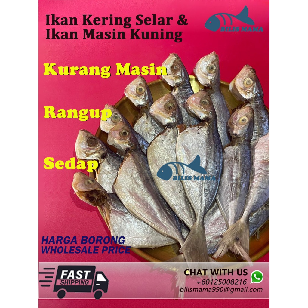 Ikan Kering Selar / Ikan Masin Selar Kuning / Bilis Mama Salted Fish ...