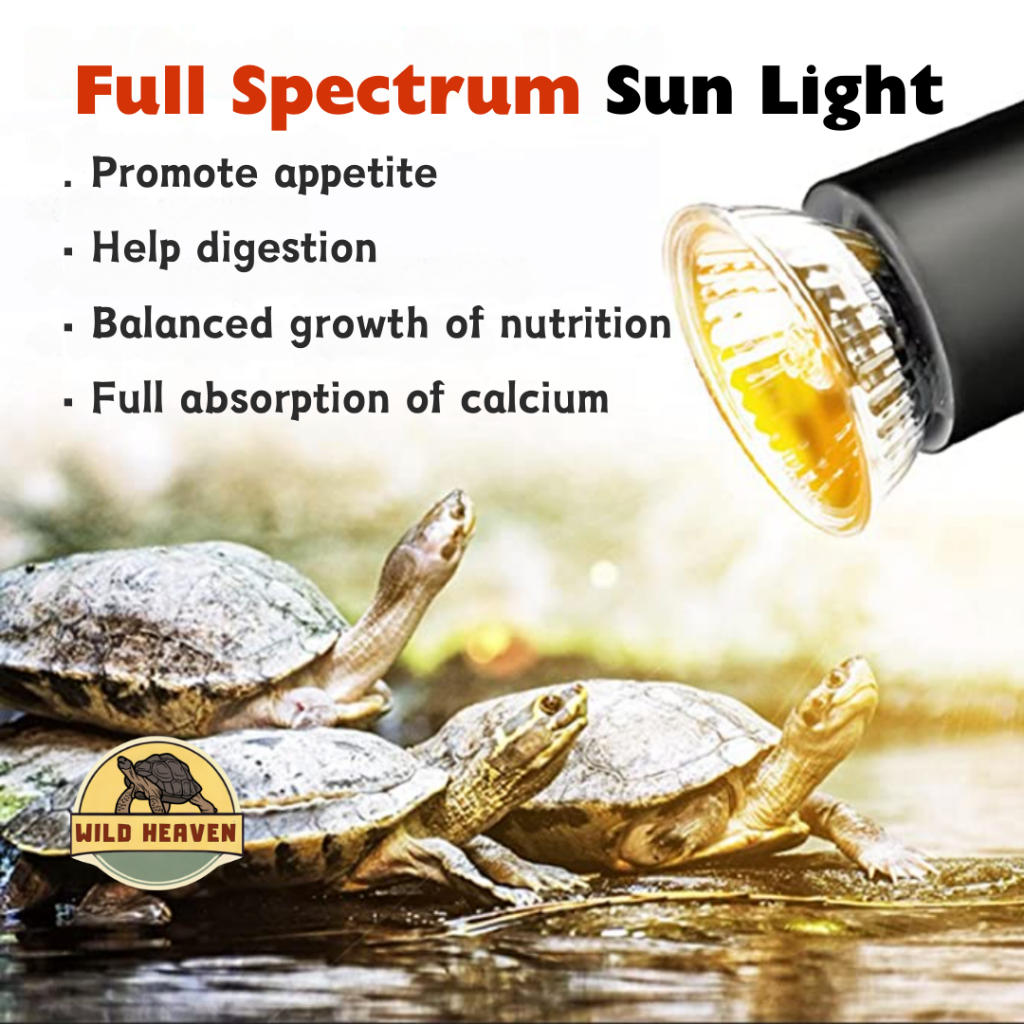 UVA+UVB 3.0 Reptile Lamp Clip-on Bulb Heat Lamp Holder Tortoise Turtle Basking Lamp（三合一陆龟晒背加热 ...