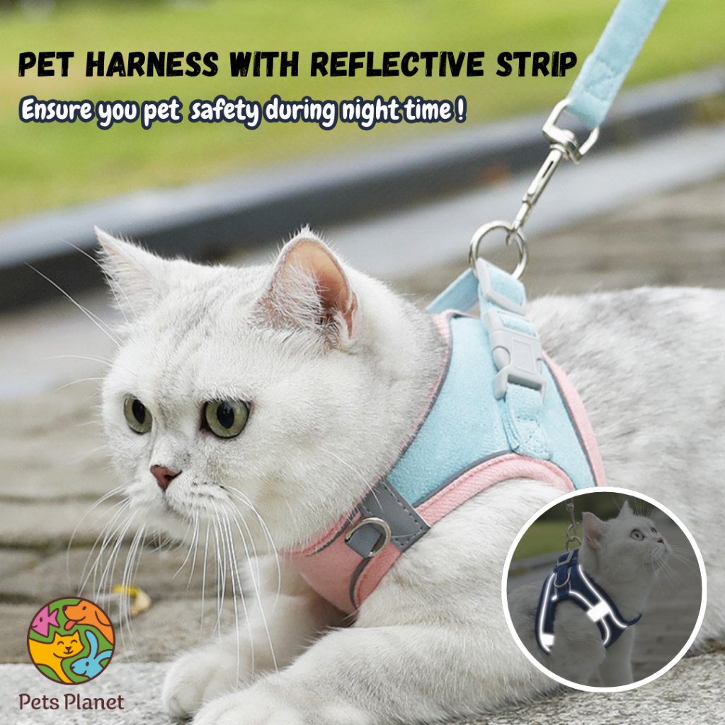 PREMIUM Pet Harness | Tali Kucing Berjalan | Lead Cat Dog Rope ...