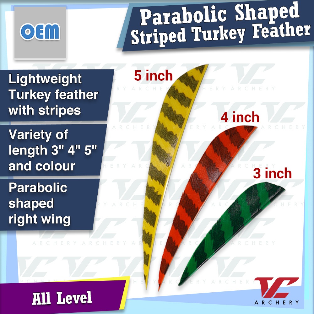 V Club Archery Turkey Feather Parabolic Shaped Striped Fletching Vanes ...